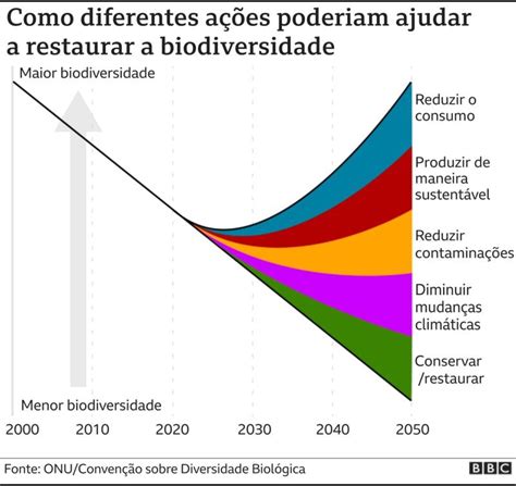 Somos a espécie mais perigosa da história cinco gráficos sobre o