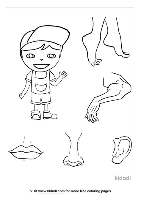 Printable Body Parts Coloring Pages