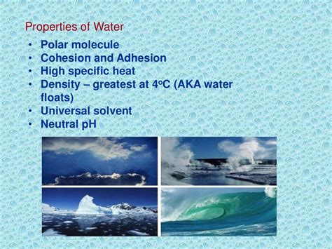 Properties Of Water Worksheet Biology Englishworksheet My Id