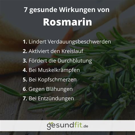 Rosmarin 6 Wirkungen 9 Verwendungen Der Heilpflanze Heilpflanzen