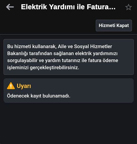 E Devlet Turkiye gov tr Elektrik Desteği Faturamı Ödeyemiyorum
