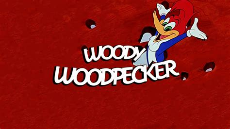 Woody Woodpecker Wallpaper 69 Images