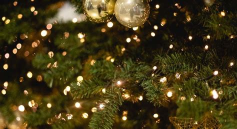 Cuánto gastan las luces de Navidad estos son los tipos que menos consumen