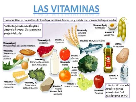 FUNCIONES DE LOS NUTRIENTES SEMANA 10