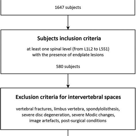 Chart Diagram Illustrating The Workflow For The Image Selection
