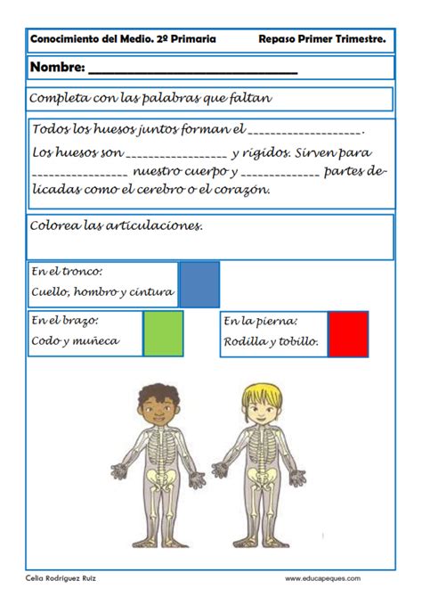 Ejercicios De Conocimiento Del Medio Para Segundo Primaria Primarias