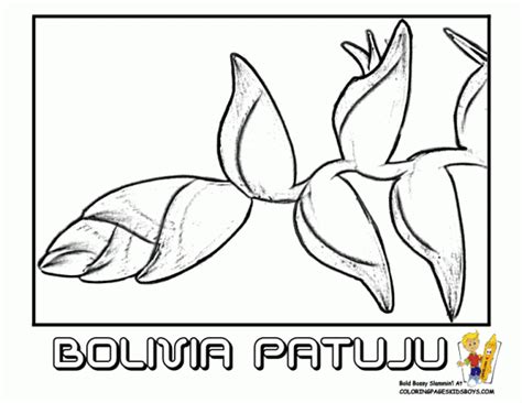 Dibujos de los símbolos patrios de Bolivia para pintar Colorear imágenes