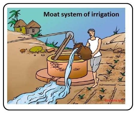 B For Biology Crop Production And Management Part II