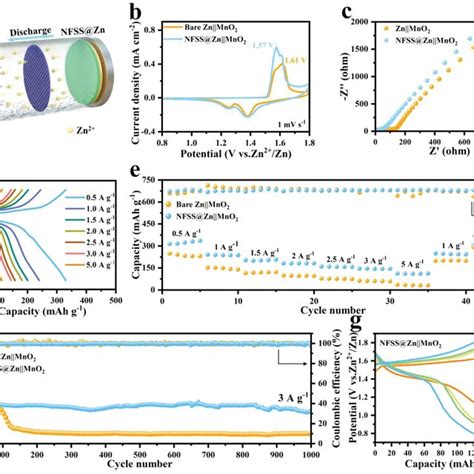 Electrochemical Performance Of Zn Mno Batteries With Bare Zn And
