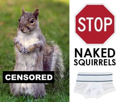 More Naked Squirrels Ninja Squirrel Squirrel Humor Nutty Buddy