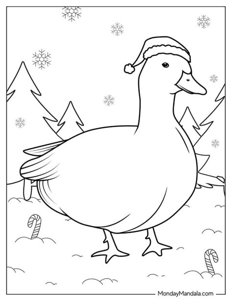 Cute Duck Coloring Pages Free Pdf Printables In Bird