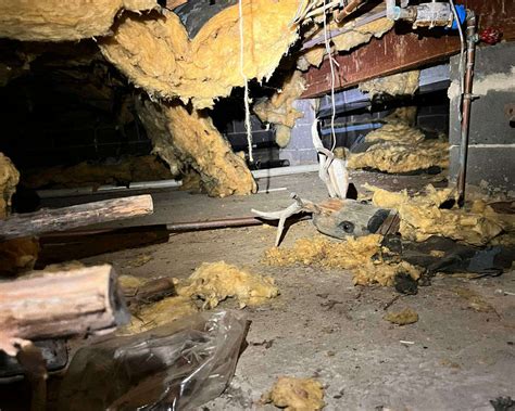 Tips For Insulating Your Crawl Space Master Attic