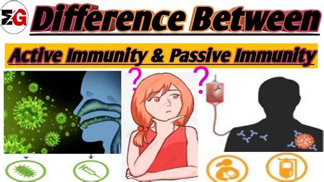 Active Vs Passive Immunity Difference Between Active Passive