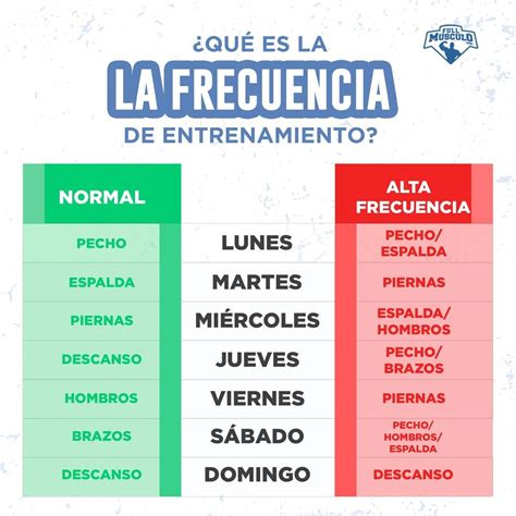 Cuántas veces a la semana hay que entrenar cada músculo Radio Aguilares