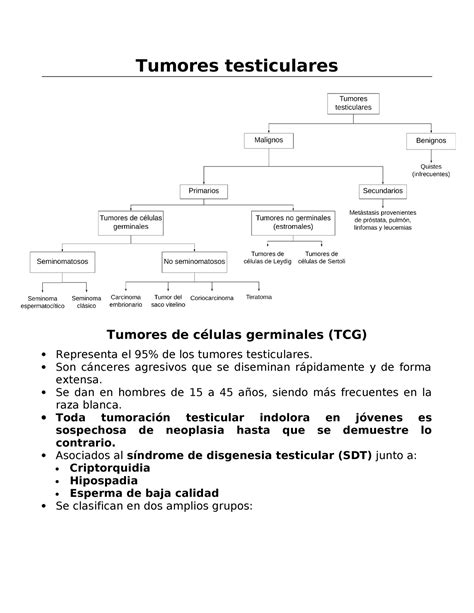 Tumores Testiculares Resumen Patologia Estructural Y Funcional