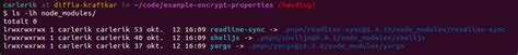 Bug Running Npm I Fails With Cannot Read Properties Of Null