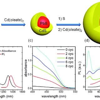 A The Synthetic Scheme For Giant PbS CdS Zb CdS Wz QDs B