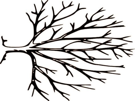 Tree With Bare Branches ClipArt Best