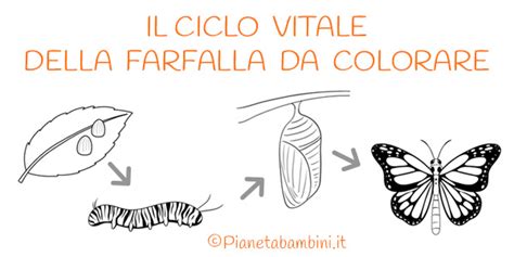 220 Disegni Di Primavera Da Colorare Per Bambini PianetaBambini It