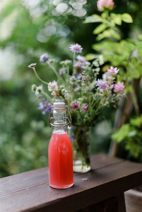 Selbstgemachte Limonade mit Rhabarber und Holunderblüten Sirup aus