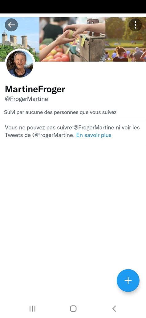 Pierre Meurin on Twitter Je viens d être bloqué par Martine Froger 45
