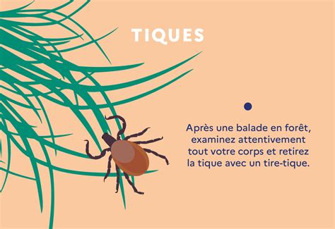 Tique comment se protéger et les risques pour la santé Agence