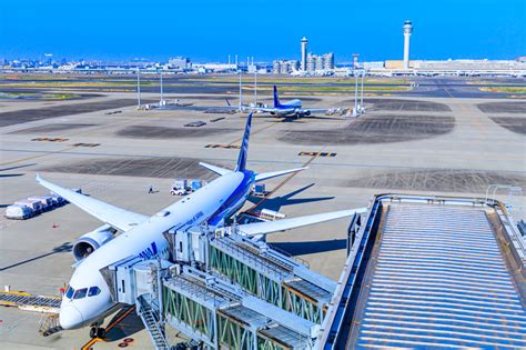 利用者様との楽しい遠足羽田空港での航空機鑑賞に大興奮 株式会社湘南ケアステージ