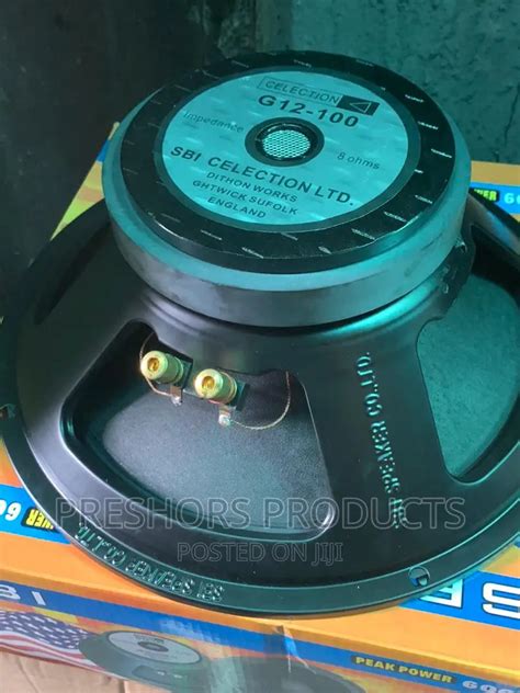 G12inches SBI Naked Speaker In Mushin Audio Music Equipment