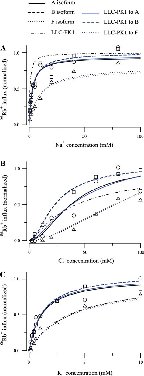 86 Rb Influx As A Function Of Ion Concentration For The 6 Parameter