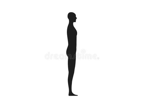 Vista Lateral De Uma Silhueta Masculina De Corpo Humano Ilustração do