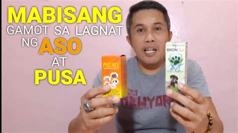 Mabisang Gamot Sa Lagnat Ng Aso At Pusa Youtube