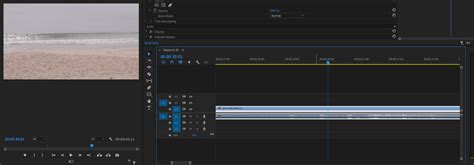 C Mo Congelar Una Imagen En Adobe Premiere Pro Softwareevaluar