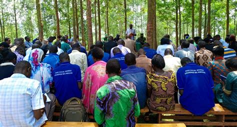 Rwamagana District On Twitter RT MwulireR Mu Busitani Bw Umurenge