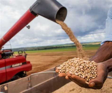 Conab produção de grãos deve atingir 312 milhões de toneladas