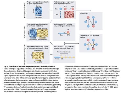 min dai on twitter gene regulatory network inference in the era of single cell multi omics
