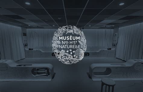 Lady Sapiens Lexperience Int Gre Le Catalogue Vr Du Mus Um National