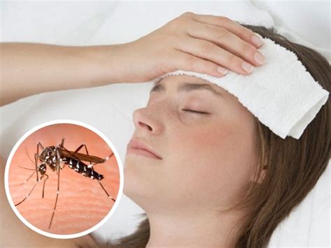 Remarcan los principales signos de alarma ante síntomas del dengue y