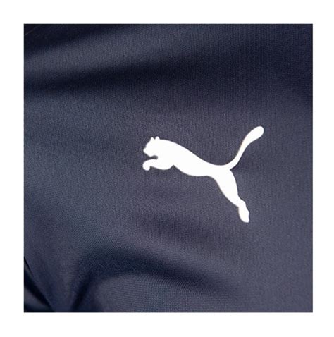 Camiseta Anthem Deportivo Alav S