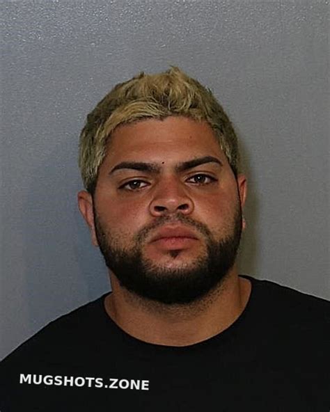 ALVAREZ HERNANDEZ WESLEY 03 31 2023 Osceola County Mugshots Zone