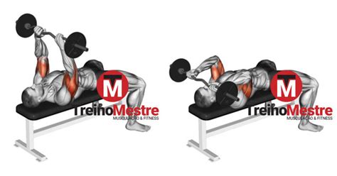 Treino De Tr Ceps Completo Para Hipertrofia Treino Mestre