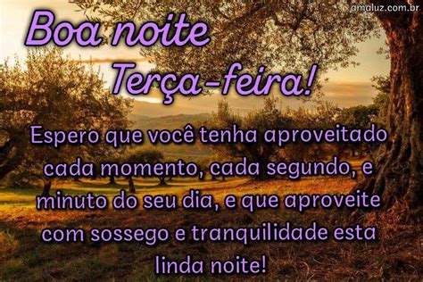 30 Mensagens de boa noite terça feira amor e carinho especial