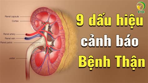 9 dấu hiệu cảnh báo chức năng thận bắt đầu suy yếu KHỎE TỰ NHIÊN