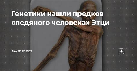 Генетики нашли предков ледяного человека Этци Naked Science Дзен