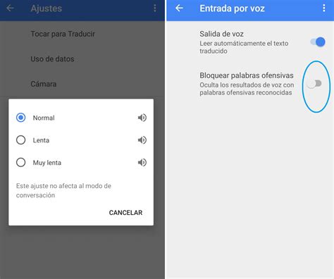Cómo cambiar la voz del Traductor de Google