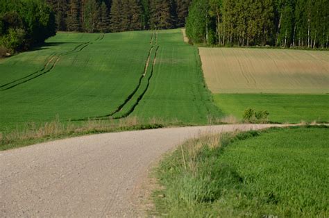 Pole Droga Podlaskie Wiadomo Ci Historia Turystyka Atrakcje