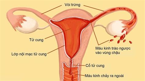 Chậm kinh niêm mạc tử cung dày 9mm Những thông tin cần biết