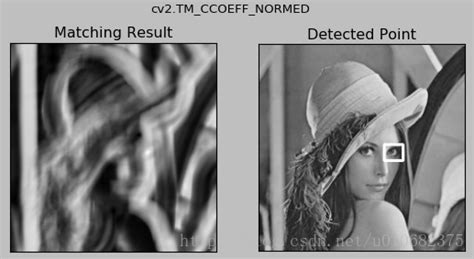 opencv 图像模板匹配 蕾娜opencv csdn博客