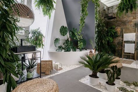 Styl urban jungle jak urządzić mieszkanie w tym stylu Oknoplast