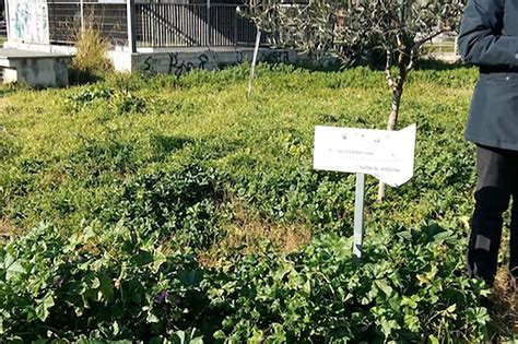 Giorno Della Memoria A Napoli Nuova Targa Per La Shoah Al Posto Di