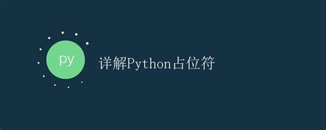 详解python占位符 极客教程